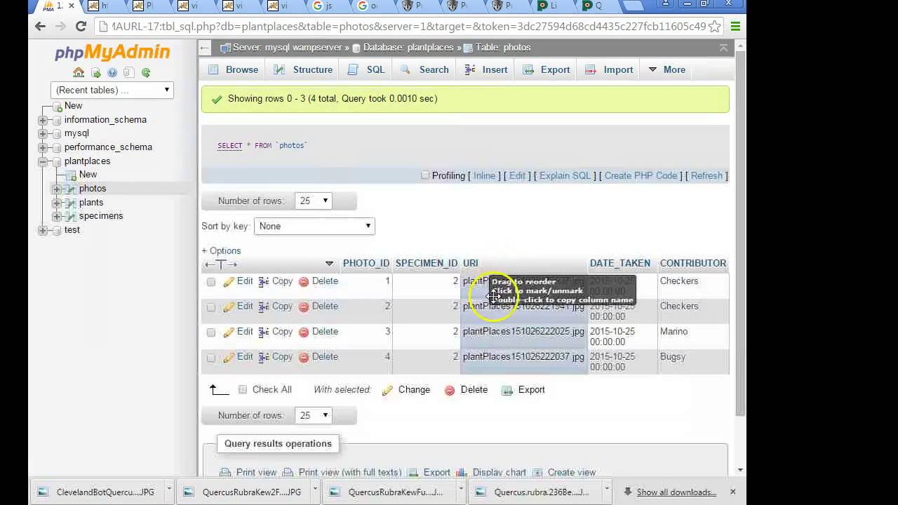 Implementing PrimeFaces galleria in JSF