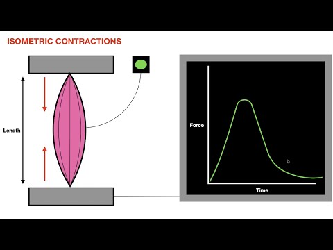Isometric Contractions