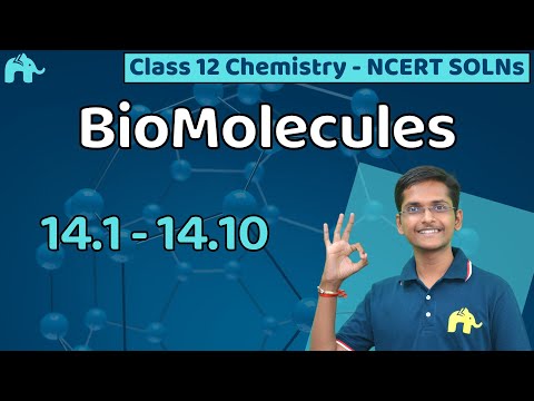 BioMolecules Class 12 Chemistry | Chapter 14 | NCERT Solutions Questions 1-10