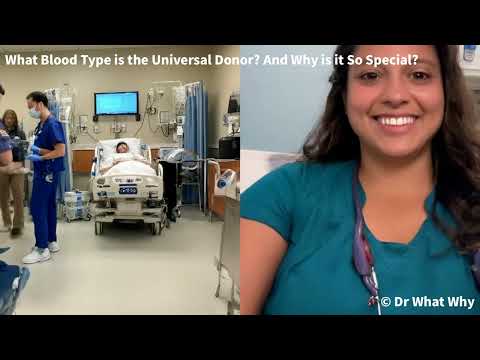 What Blood Type is the Universal Donor? And Why is it So Special?