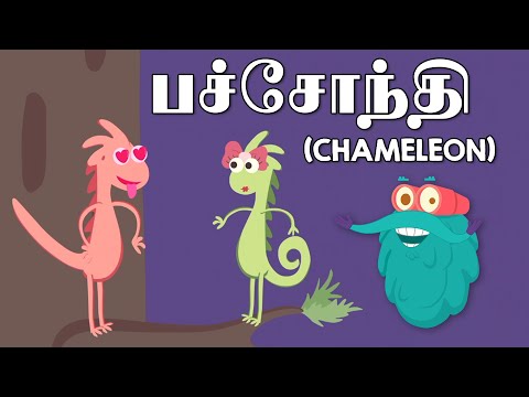 பச்சோந்தி | Why Does Chameleon Changes its Colour? | Dr. Binocs Tamil | Kids Learning Video
