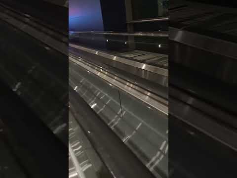 The Travellator/ Changi Airport in Terminal 3/ Arrival Hall/ ate noems