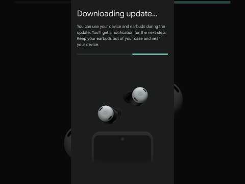 Google pixel buds App Overview