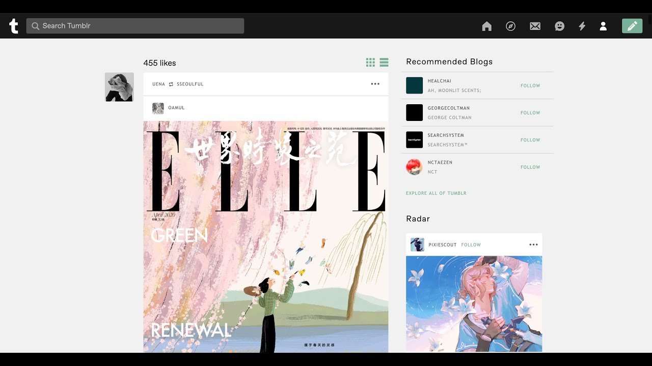 Installing a custom theme for the Tumblr dashboard using Stylish