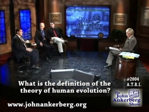 What is the definition of the theory of human evolution?