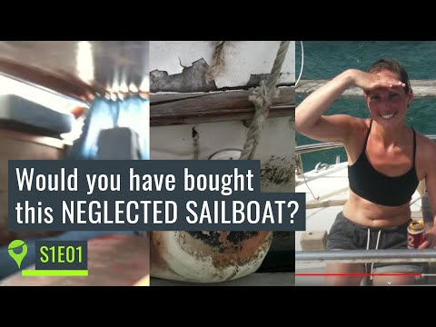 The Sailboat I bought is a COMPLETE DISASTER! I find myself deep in the Jungle of Mold...