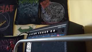 Ampeg SS-70 - What To Know & Where To Buy | Equipboard