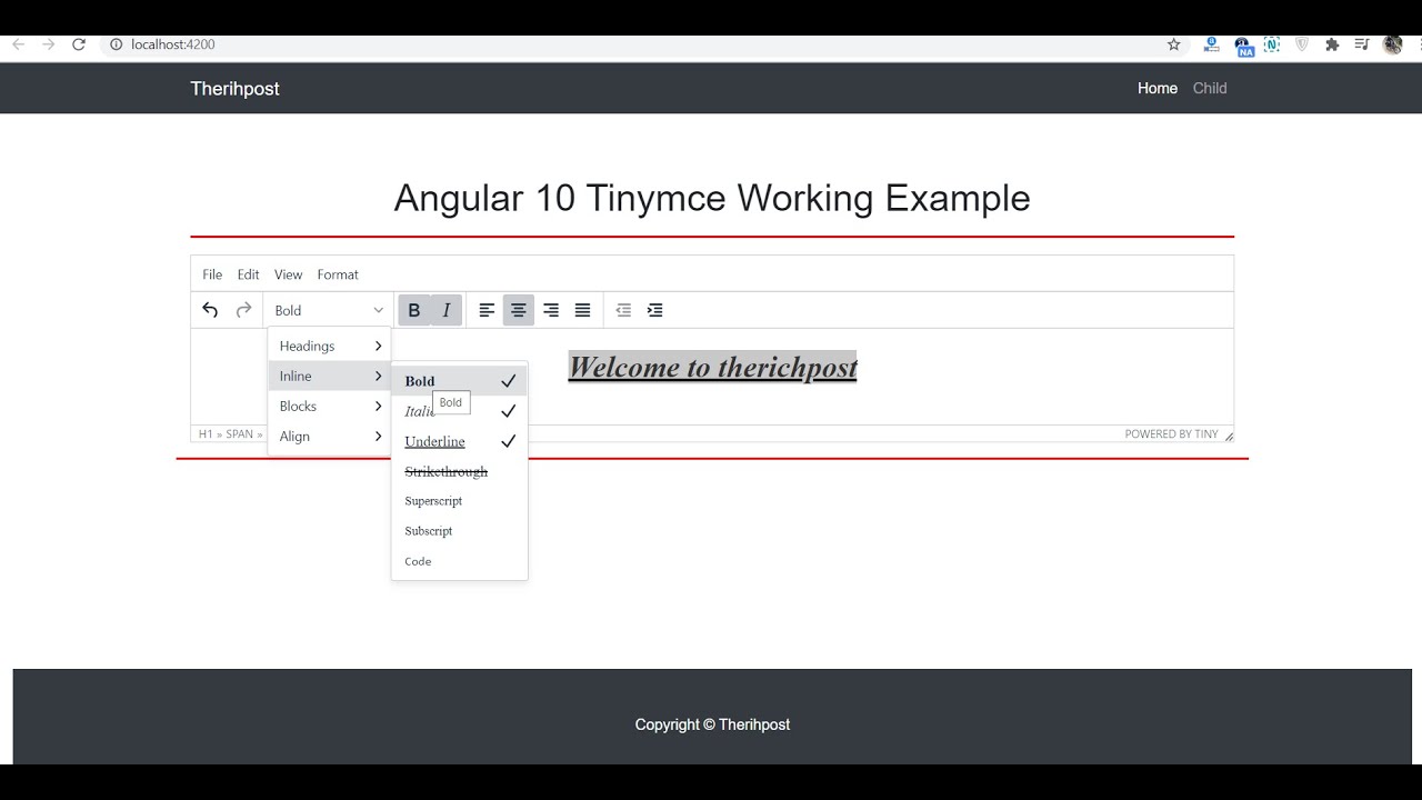 Angular 10 Tinymce Working Tutorial