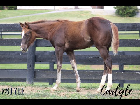Carlyle