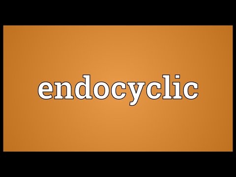 Endocyclic Meaning