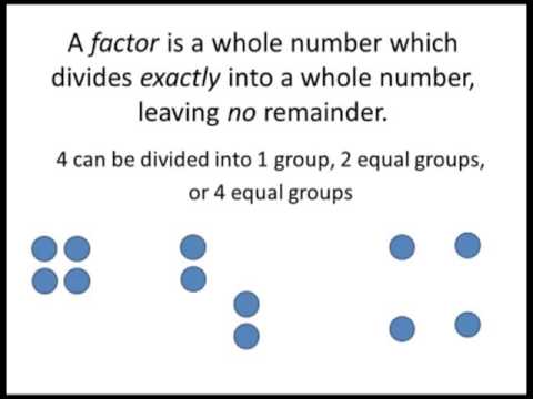 What's a Factor
