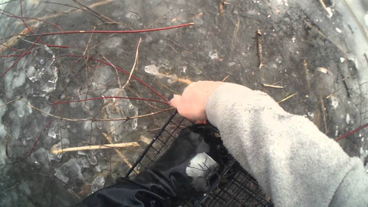 Setting the Comstock Beaver/otter cage under ice, how to?