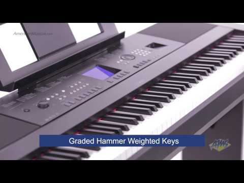 Yamaha DGX650 Digital Home Piano - Yamaha DGX650B