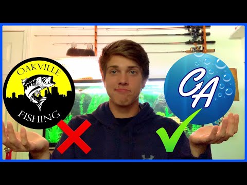 Why I Changed My Name...