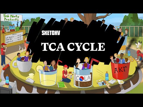 Learn the TCA Cycle! (Full Lesson) | Sketchy MCAT | Biochemistry