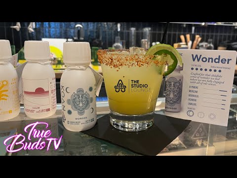 The Artist Tree Studio Lounge Koan Cocktails | Koan Precision Calibrated Cannabis Cordials