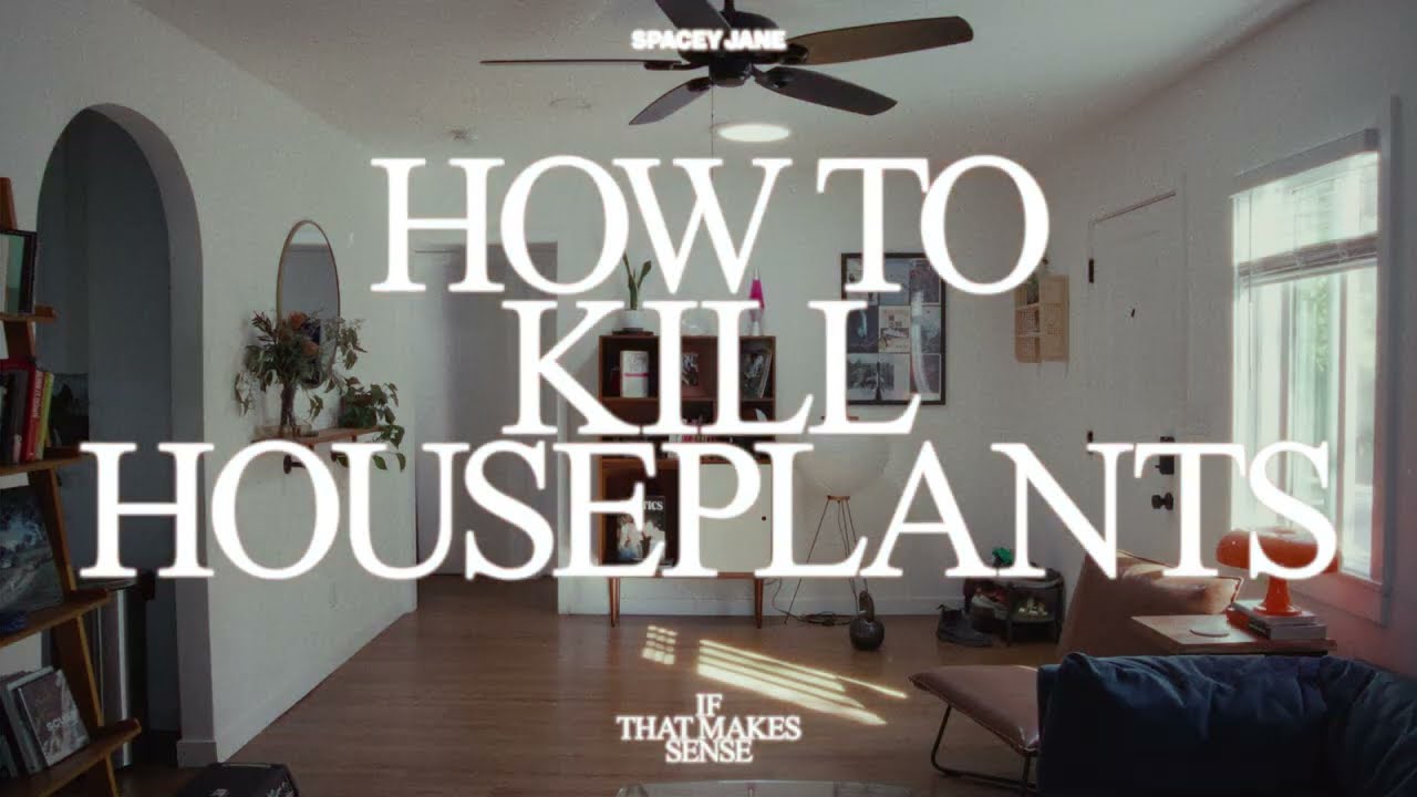 Lyrics & Translations of HOW TO KILL HOUSEPLANTS by Spacey Jane | Popnable