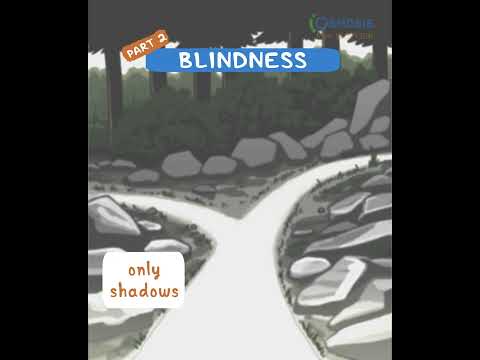 Blindness pt 2