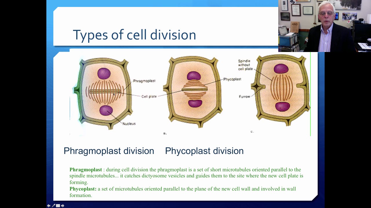 Session 18  Aquatic macrophytes and their origin