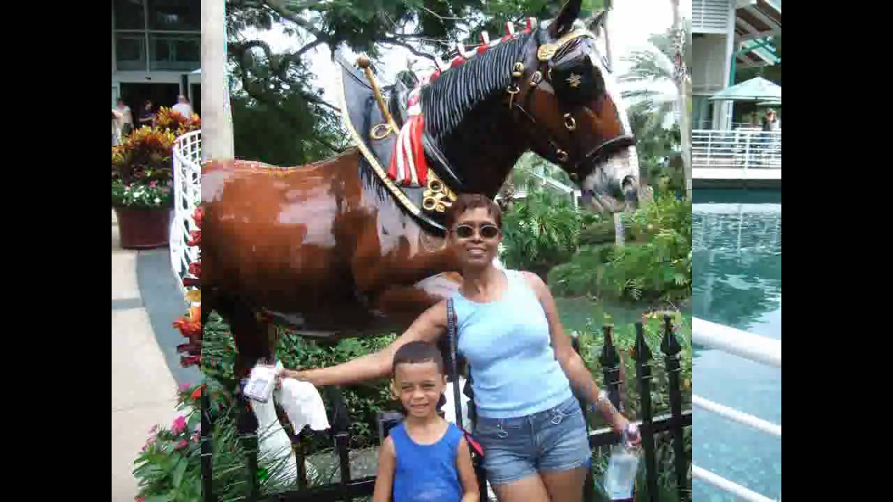 Joyce's Memorial Video Part 1