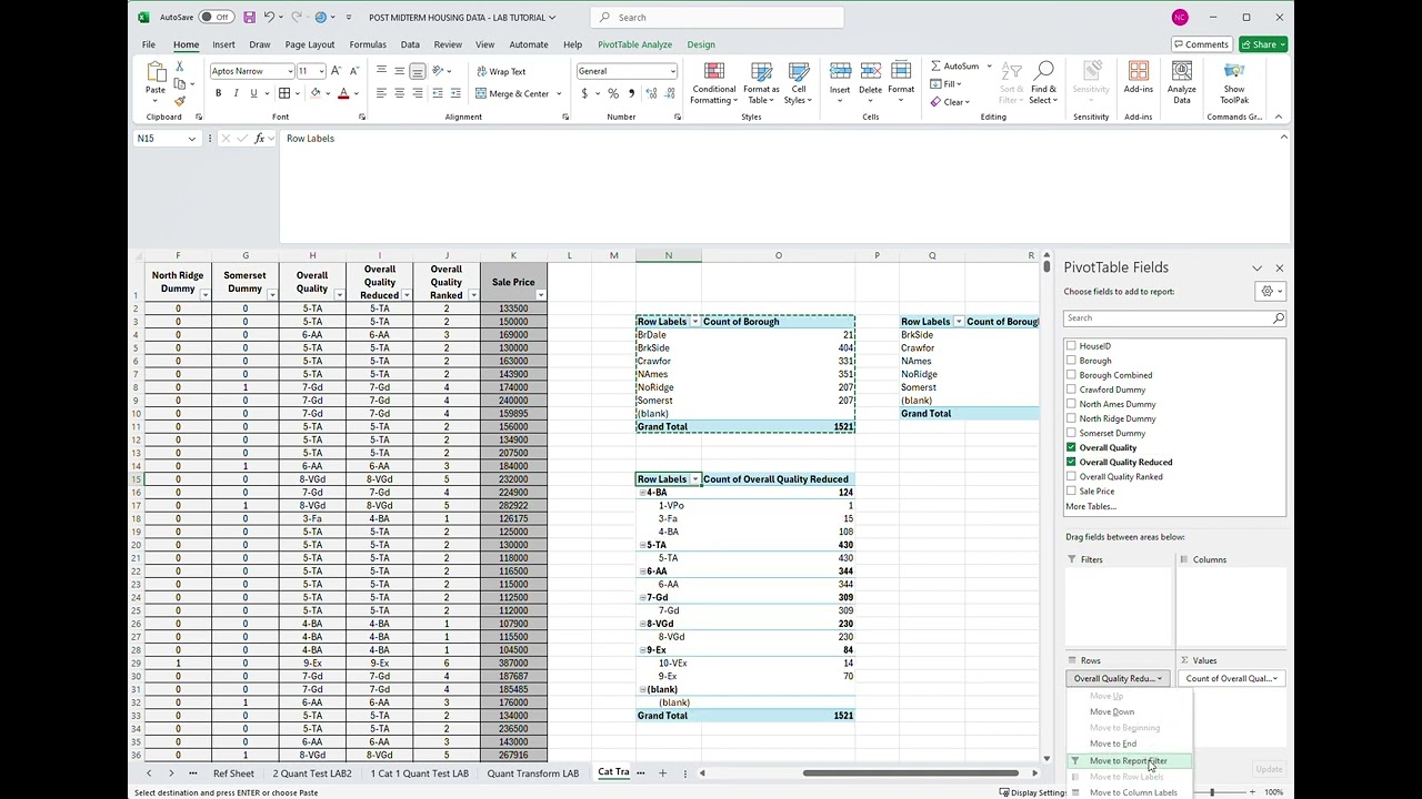 Categorical Data Transformation Application 3