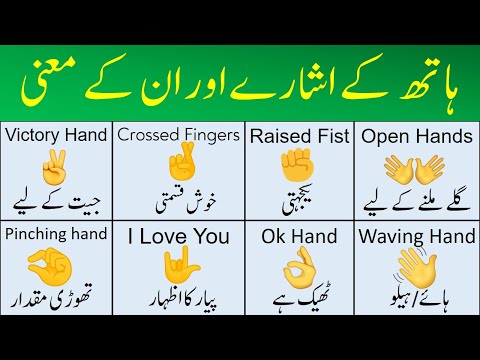 Hand Gestures Meanings in Urdu and English | @Vocabineer