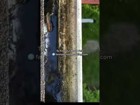Gutter Cleaning Naperville IL Family Window Washing #shorts