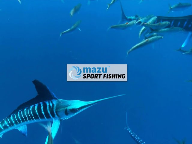 MAZU SkyMate m2500 Satellite System with Mazu™ iPad® App