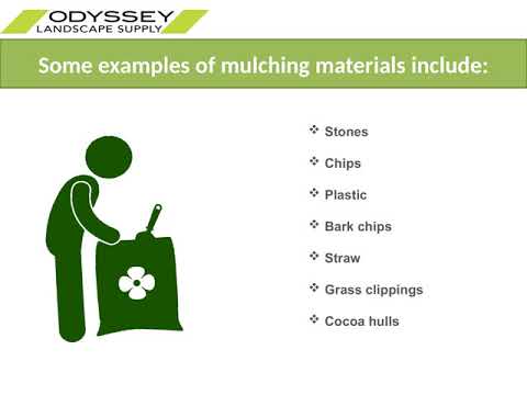 What is Mulch and Its types or Benefits For Landscaping?