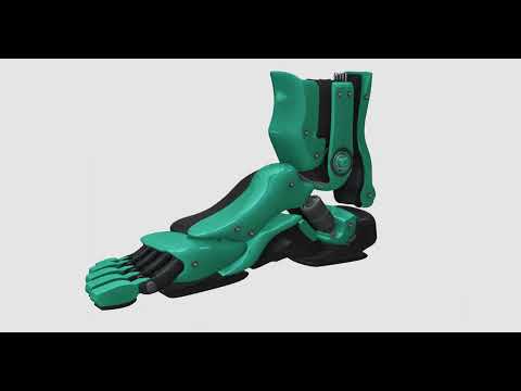 🦶 Robotic foot・ STL File for 3D printing・Cults