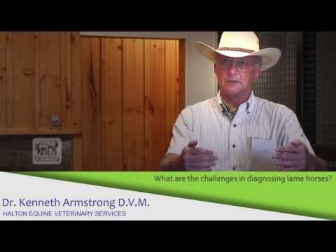Working with Your Vet - DIAGNOSIS - Dr. Ken Armstrong