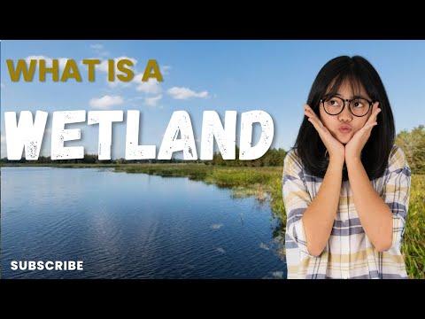 What is WETLAND| Ramsar Convention| Wetland ecosystem| Ramsar site.