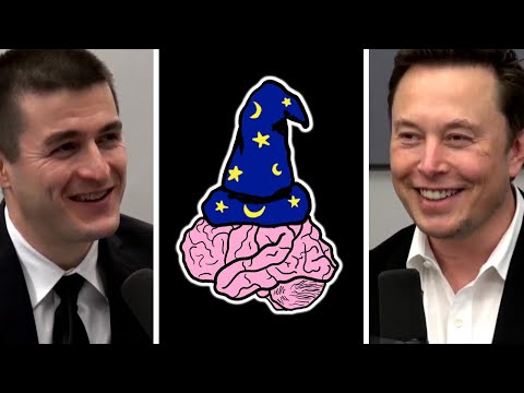Elon Musk: The cortex is mostly in service to the limbic system | The ...
