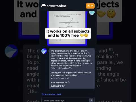 The BEST AI Homework Solver app!