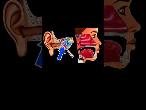 EUSTACHIAN TUBE DYSFUNCTION #shorts