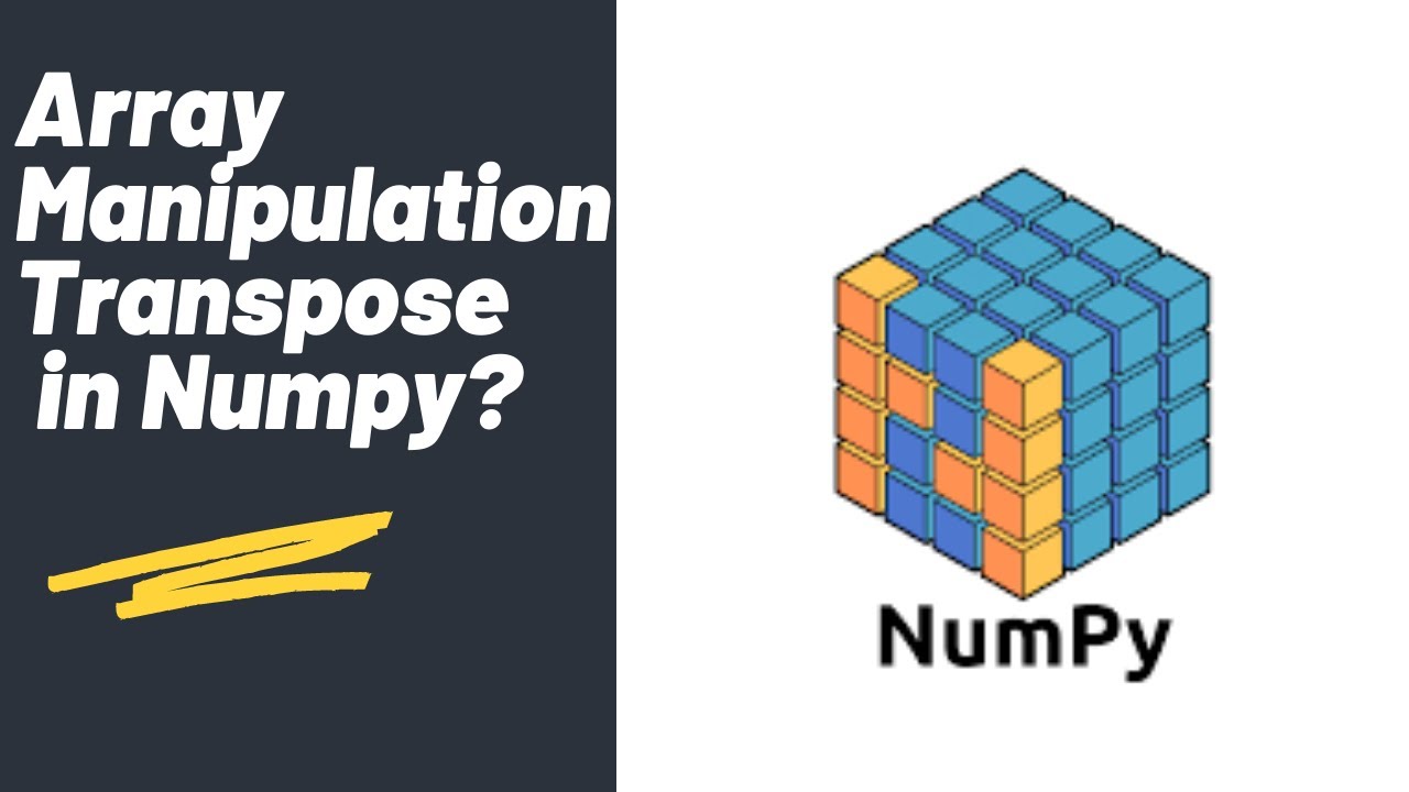 Array Manipulation | Transpose | Numpy Library | Python Tutorial