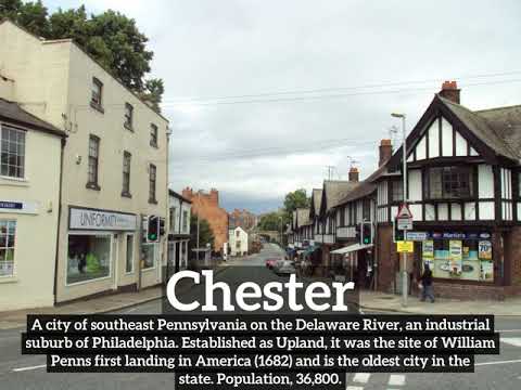 What is Chester? | How Does Chester Look? | How to Say Chester in English?