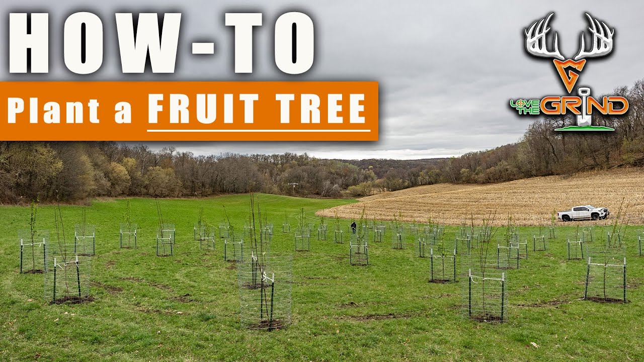 Love The Grind – HomeGrown Outfitters