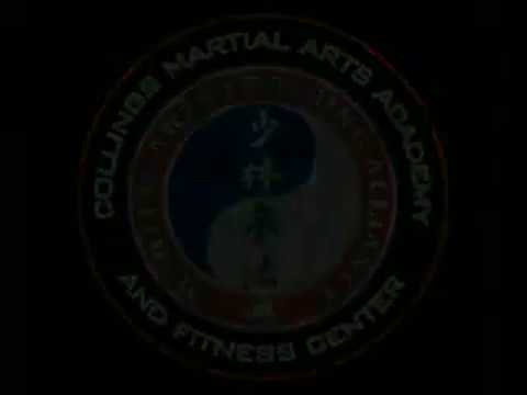 The Snake Fist Form | kempoinfo.com