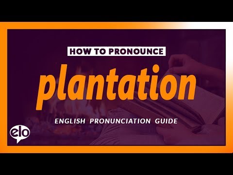 How To Pronounce Plantation | Definition and Pronunciation (Human Voice)