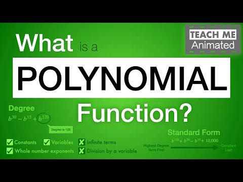 What is a POLYNOMIAL FUNCTION? (and Examples of it) | Animated Introduction to Polynomials (Part 2)
