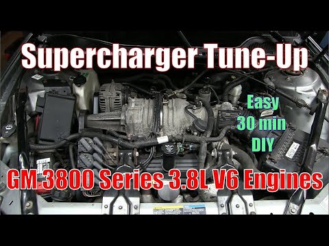 Eaton M90 Supercharger Oil & Belt Change - GM 3.8L 3800 Series II/III V6 Engine