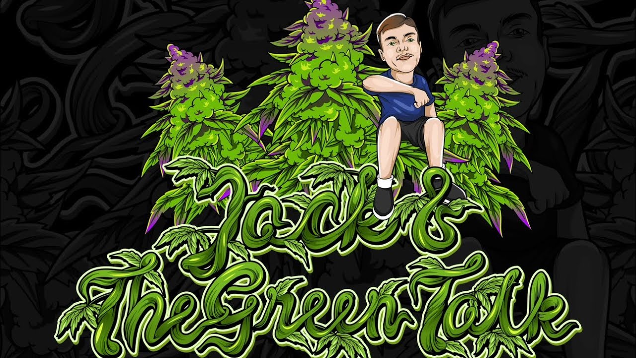 Medical Cannabis UK, Patient Review INTEGRO CLINIC  👍Pros/Cons👎