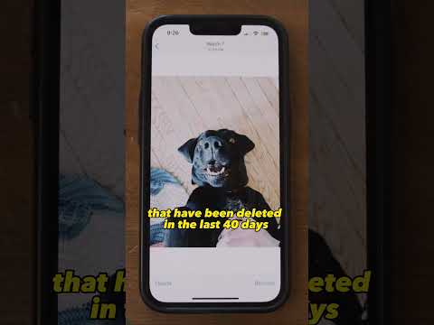 Part 1 | How to Recover Deleted Photos from your iPhone 📱