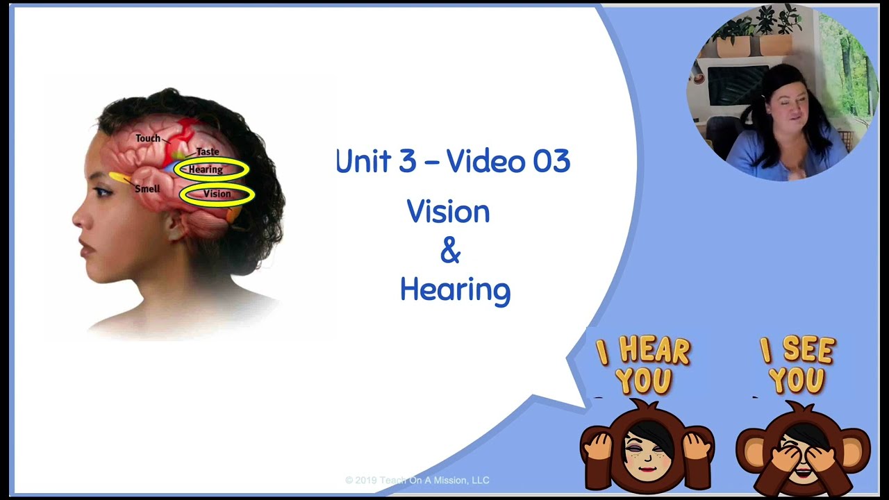 Unit 3 - 03 - Vision & Hearing - Part 1