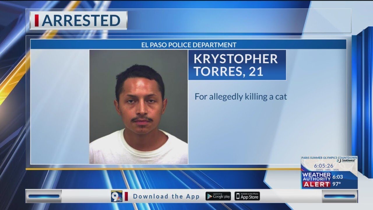 EPPD: Man arrested for stabbing cat to death