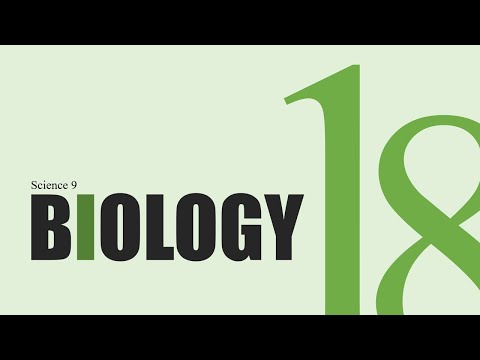Glycolysis and Krebs Cycle: Knowledge Catalog Grade 9 Biology #18
