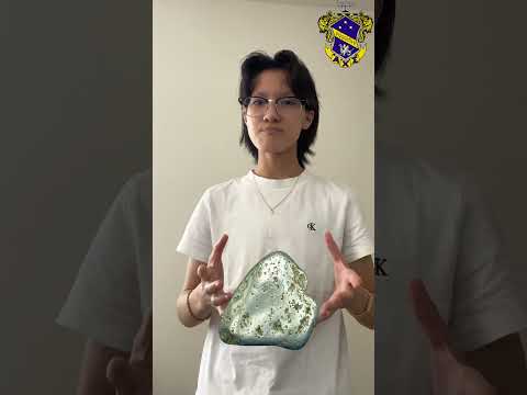 Element of the Week: Platinum