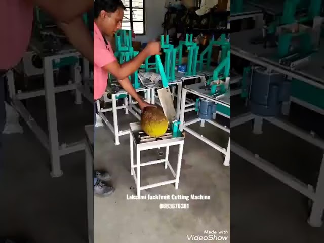 Jackfruit cutting machine - Jackfruit Cutting Machine Manufacturer from ...