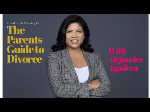 The Parents Guide to Divorce | Episode 1: Parenting Plan